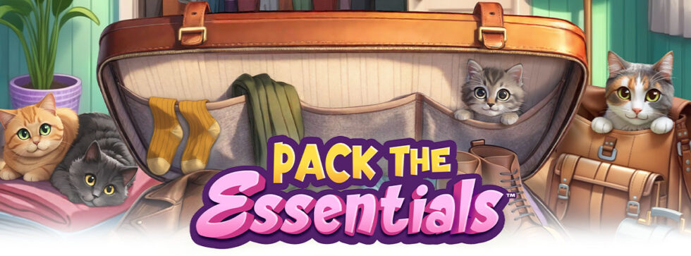 Pack The Essentials | Wise Wizard Games