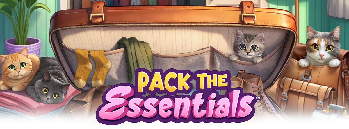 Pack the Essentials | Wise Wizard Games